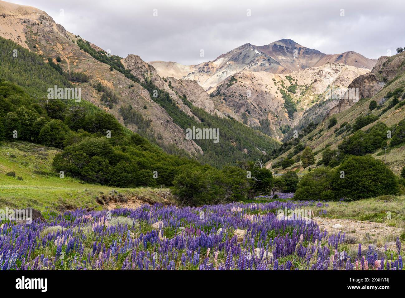 Mountain range along the Rio Blanco, Carretera Austral, Aysen, Chile ...