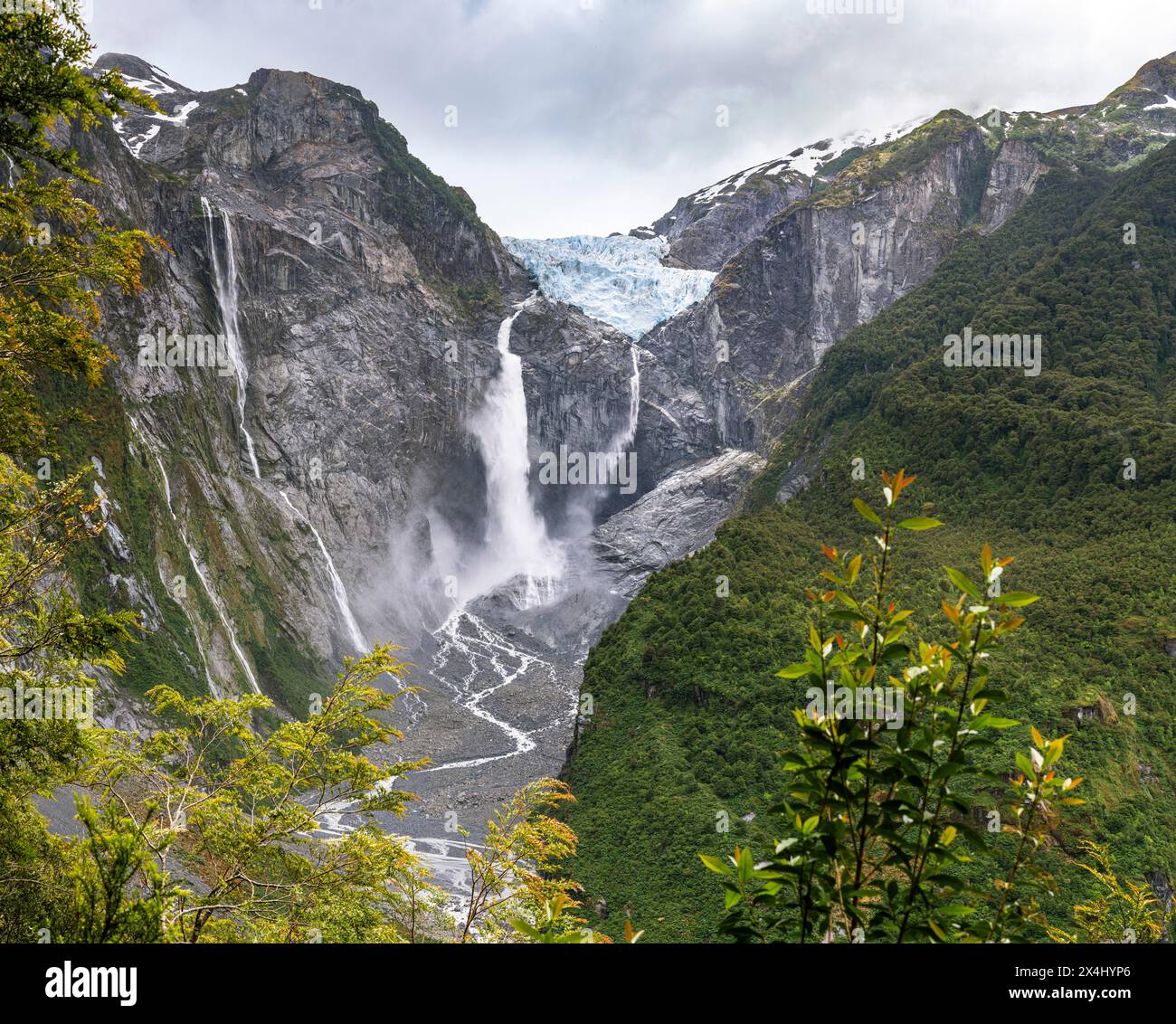 Queulat national park hi-res stock photography and images - Alamy