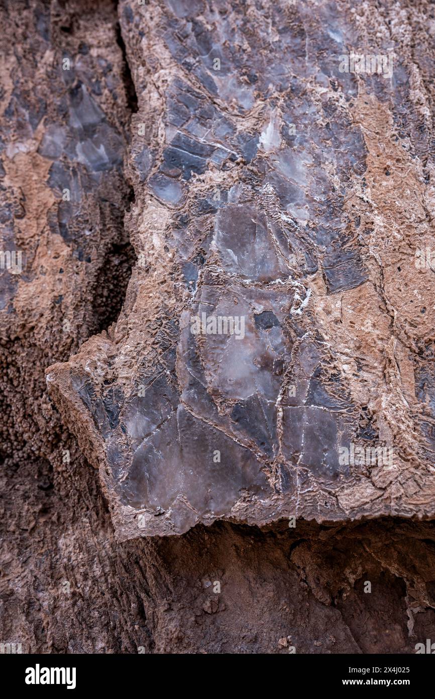 Salt crystals bound in rock, Valle de la Luna, San Pedro de Atacama ...