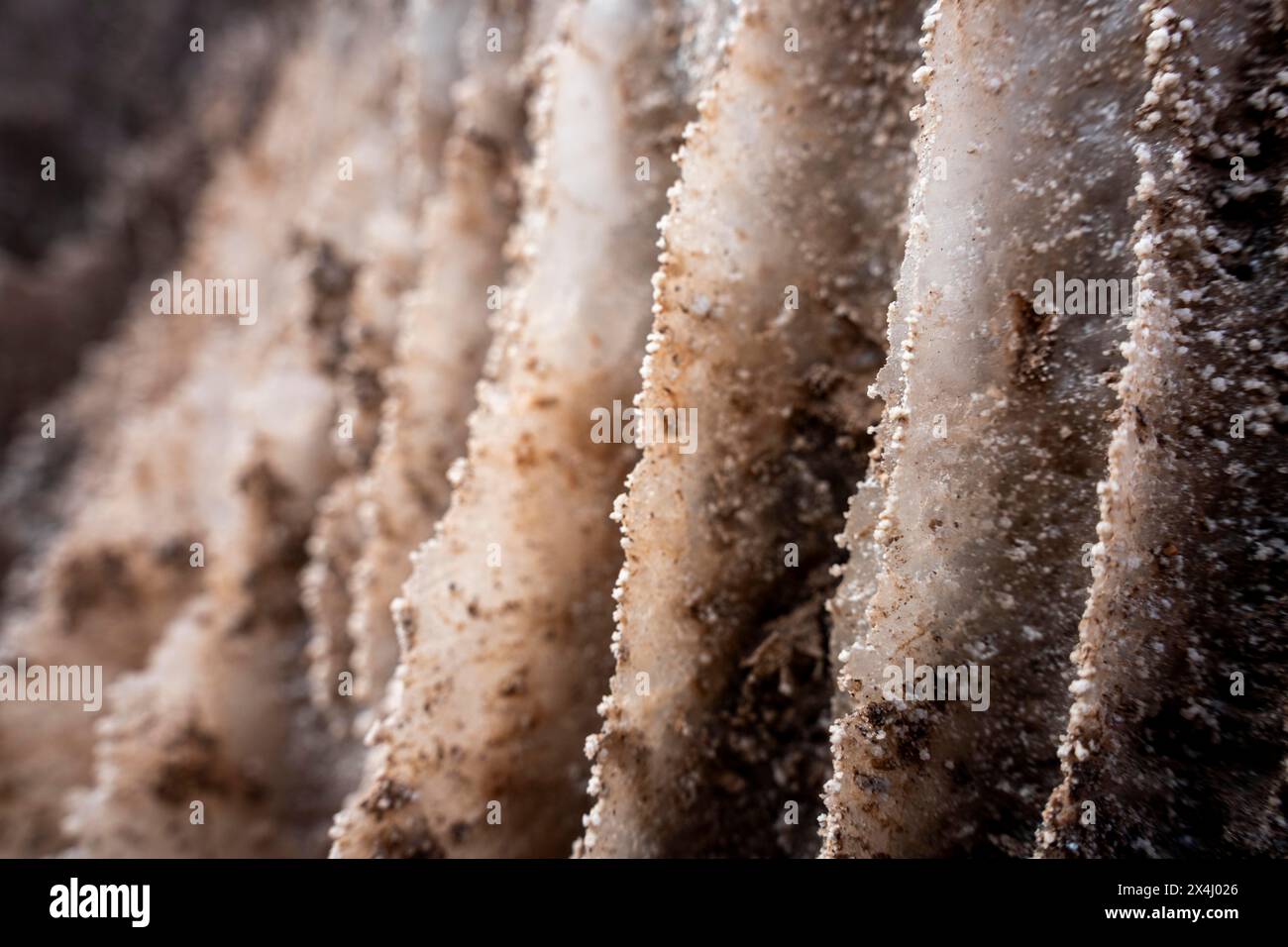 Salt structures, Valle de la Luna, San Pedro de Atacama, Antofagasta ...