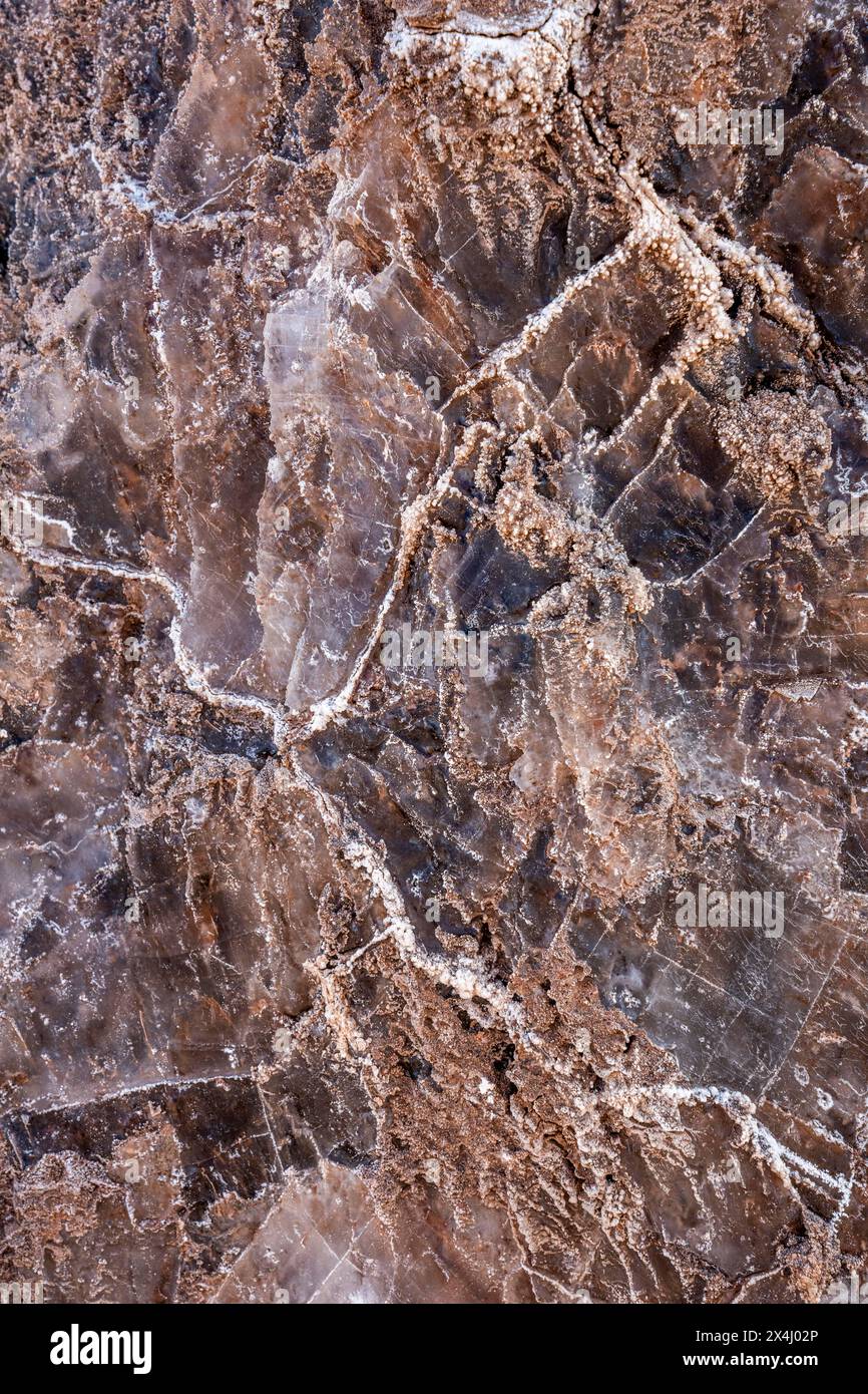 Salt crystals bound in rock, Valle de la Luna, San Pedro de Atacama ...