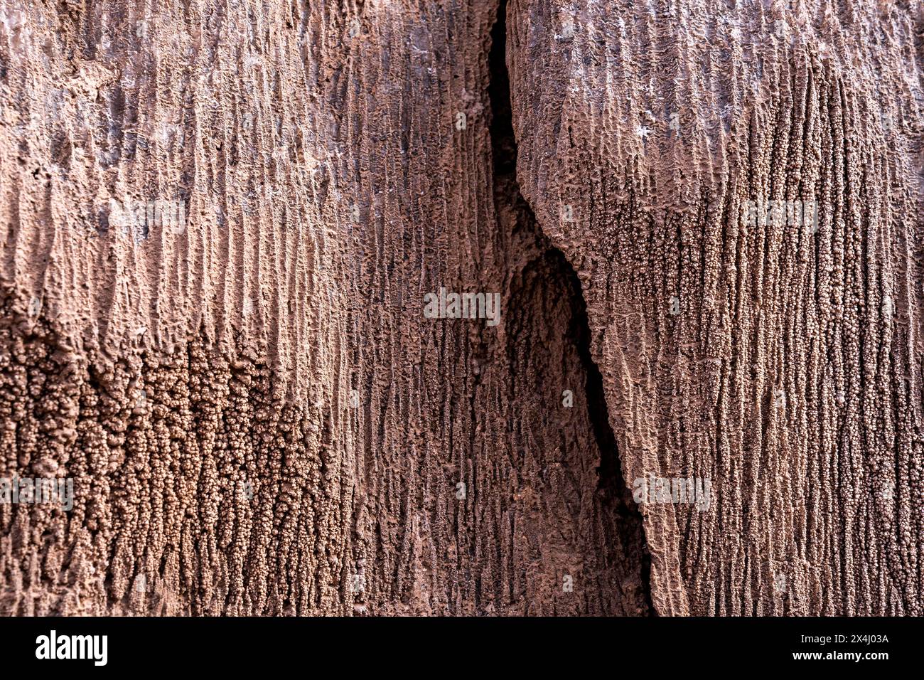 Salt structures, Valle de la Luna, San Pedro de Atacama, Antofagasta ...