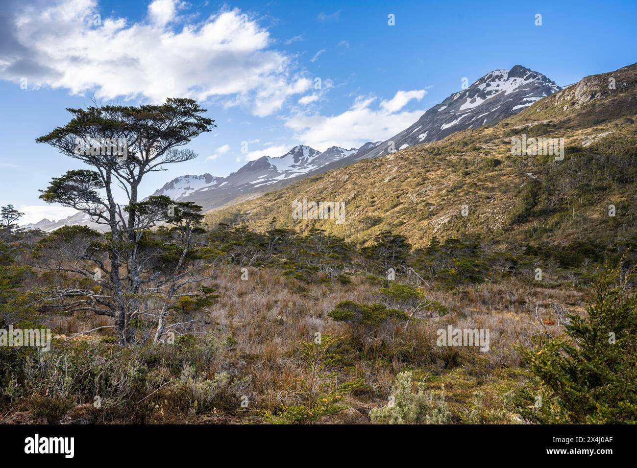 Karukinka park hi-res stock photography and images - Alamy