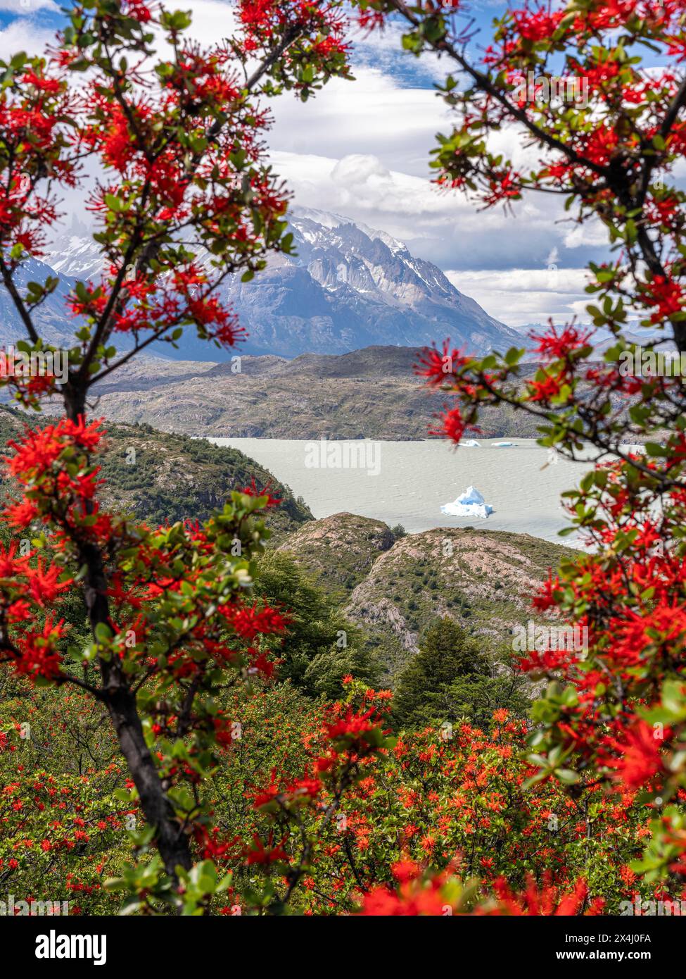 Fire tower experience hi-res stock photography and images - Alamy
