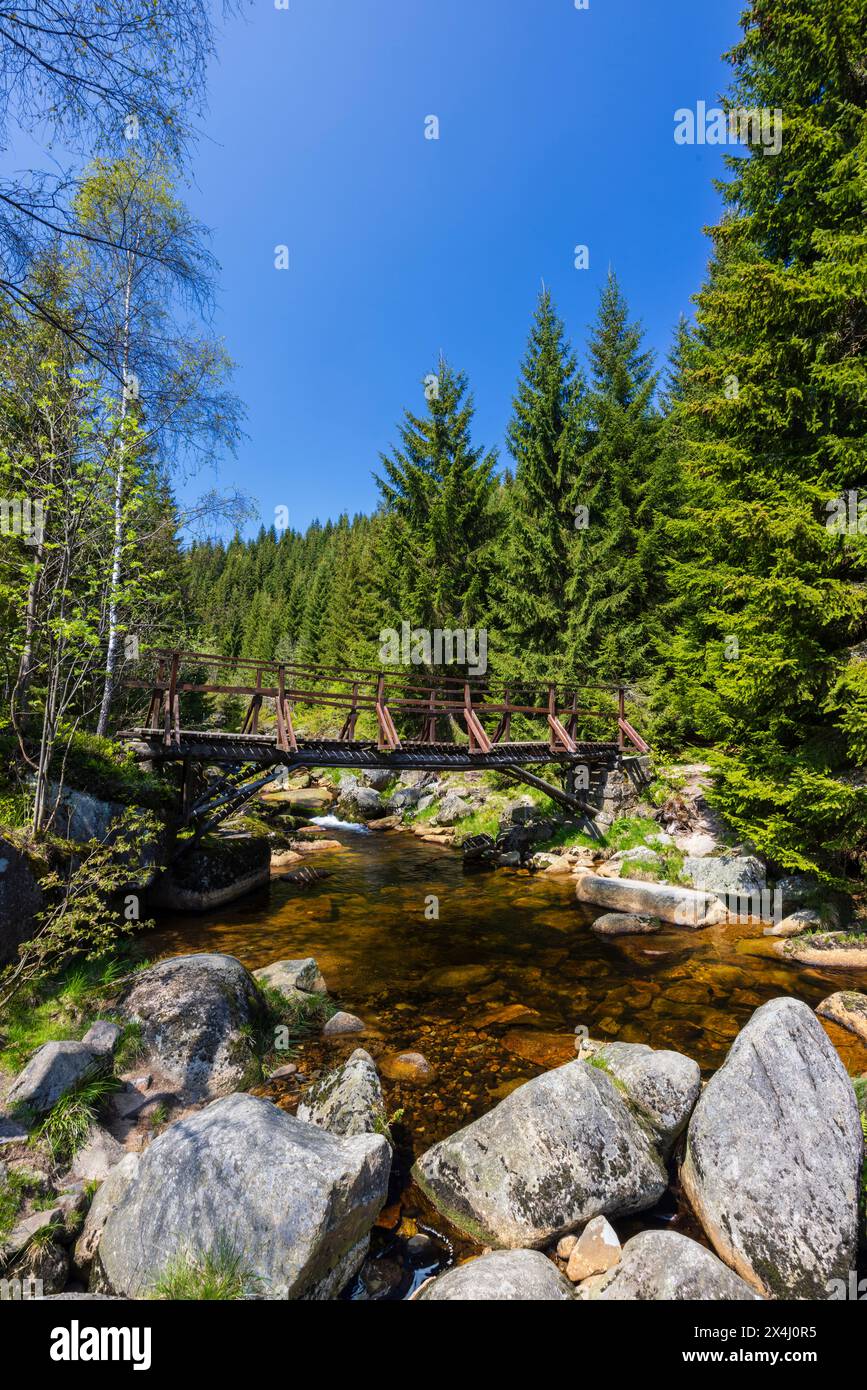 Spring landscape near Karlovsky most, Czech and Poland border, Jizerky ...