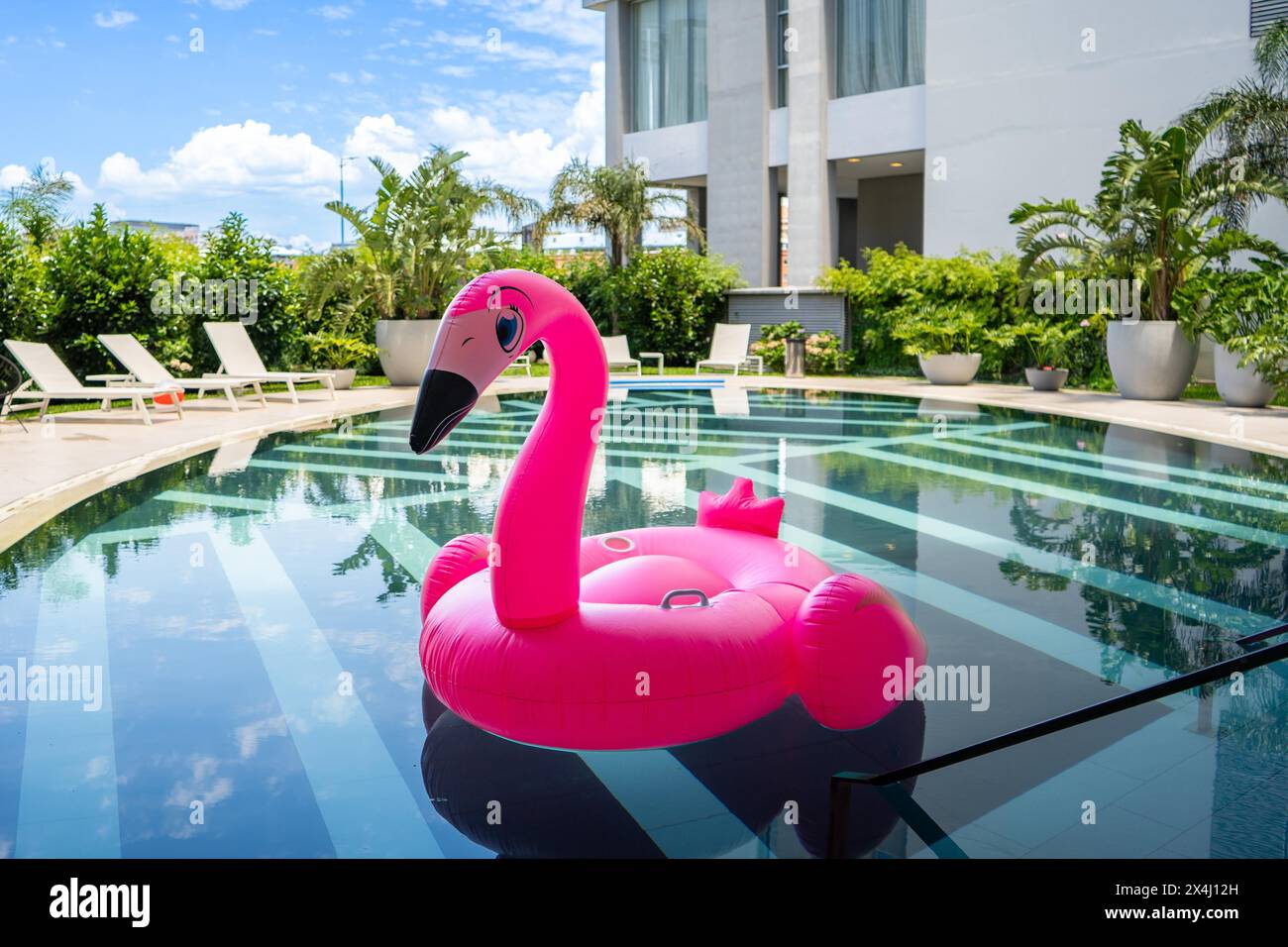 A pink flamingo pool float is floating in a pool Stock Photo - Alamy