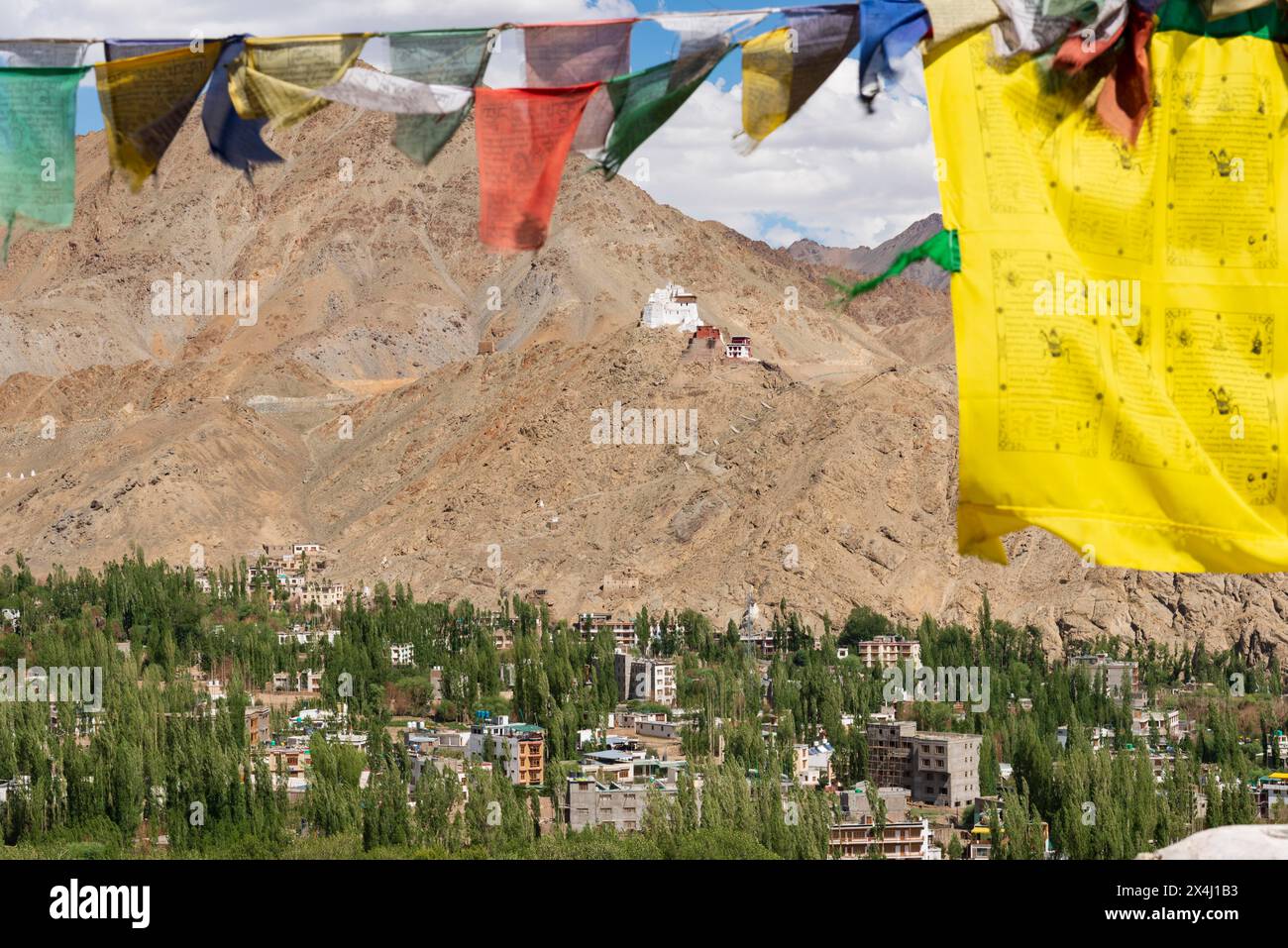 The Namgyal Tsemo Gompa monastery on Tsenmo Hill, a viewpoint over Leh ...