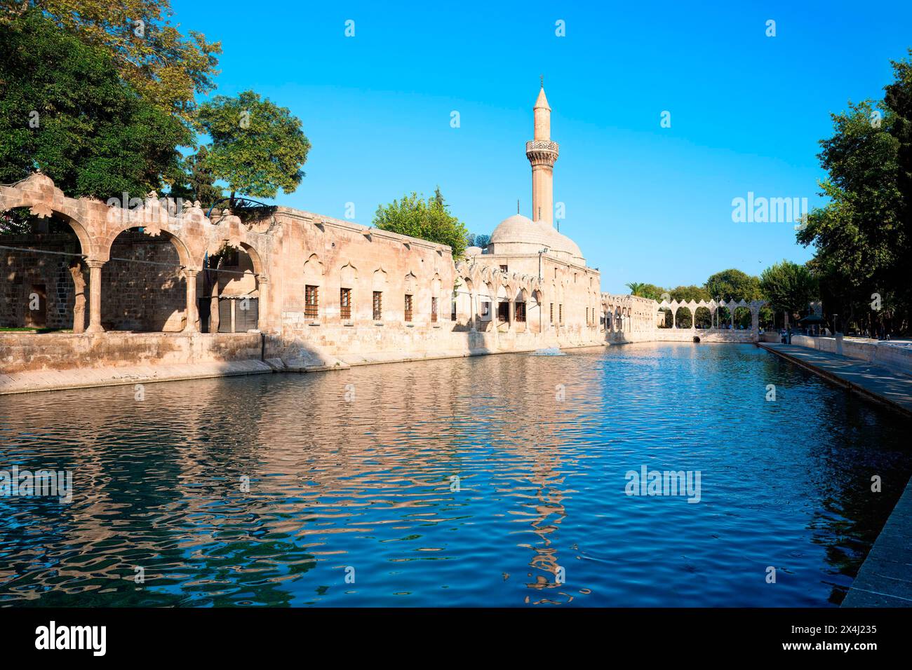 Abraham's Pool where the prophet was thrown into fire by King Nimrod ...