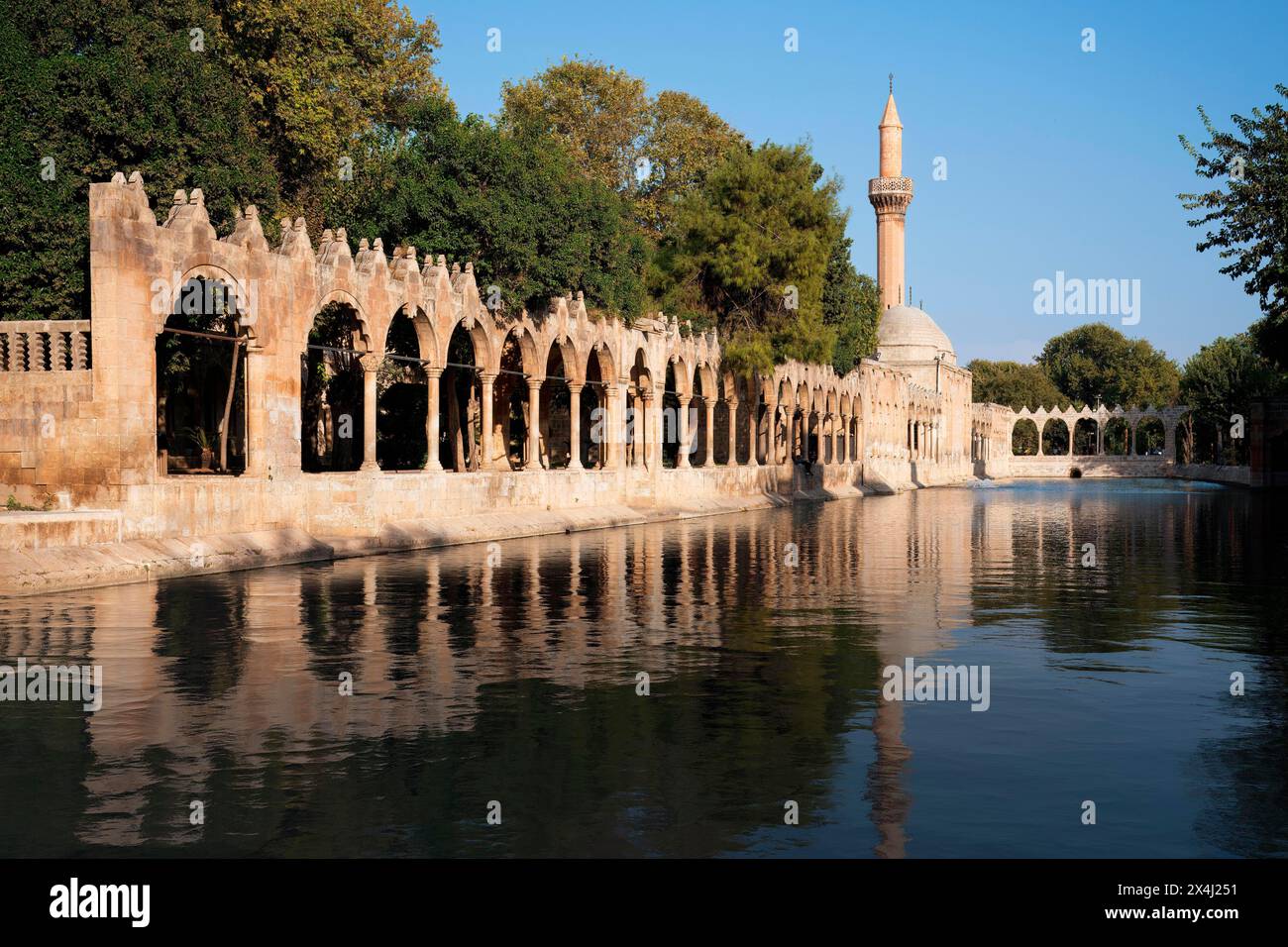 Abraham's Pool where the prophet was thrown into fire by King Nimrod ...