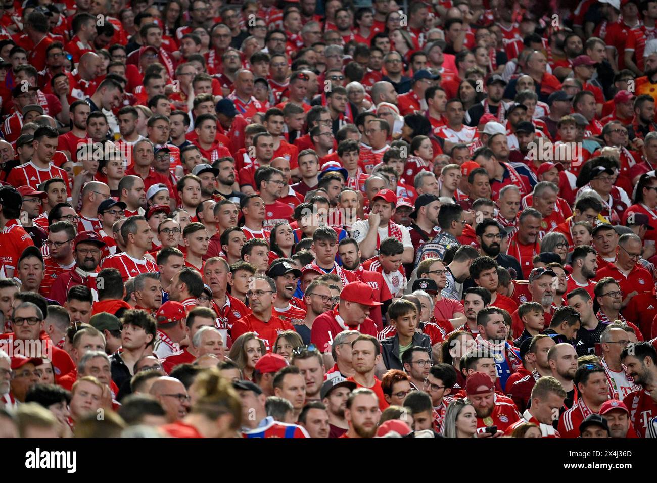Spectators, fans, fan curve, fan block, FC Bayern Munich, FCB, Allianz ...