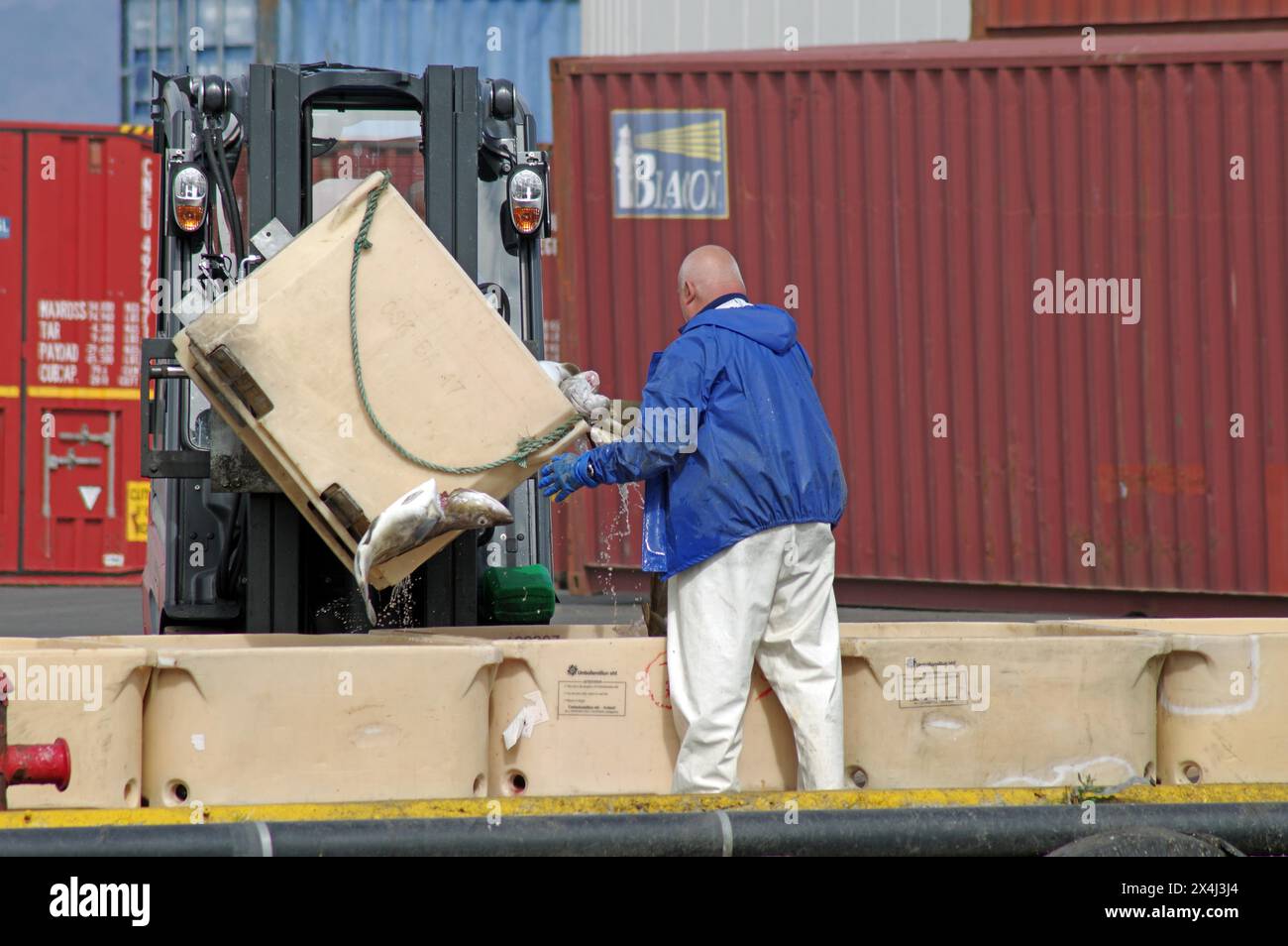 Fish containers hi-res stock photography and images - Alamy