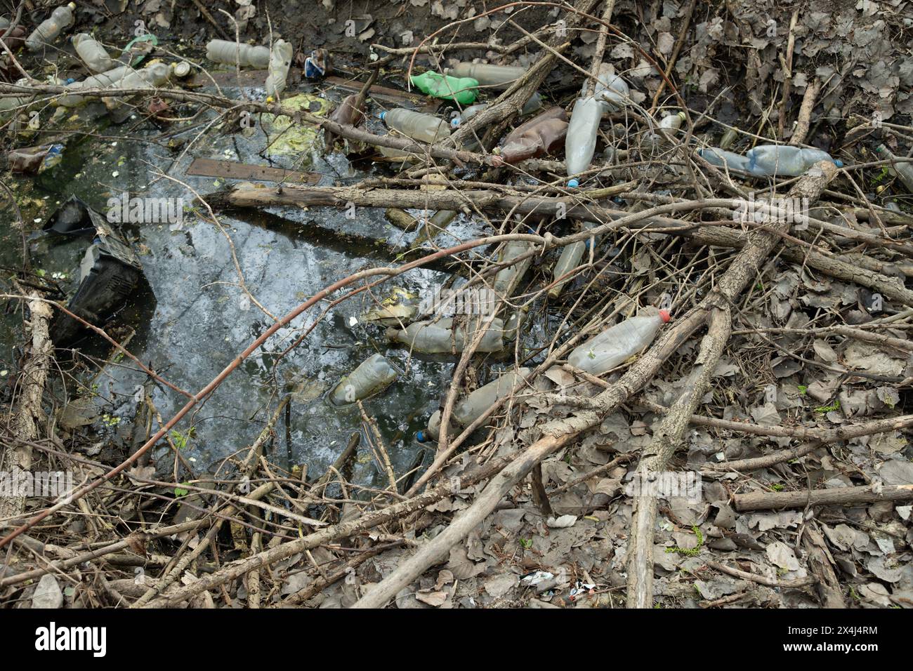 Plastic waste in the forest. Pollution of the environment Stock Photo ...
