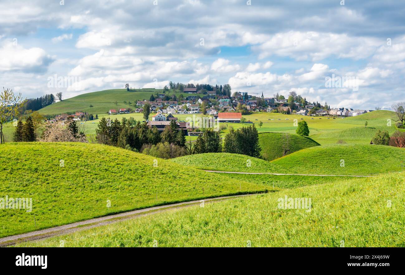 Drumlin hill landscape and a village of Hirzel , Switzerland, in summer ...