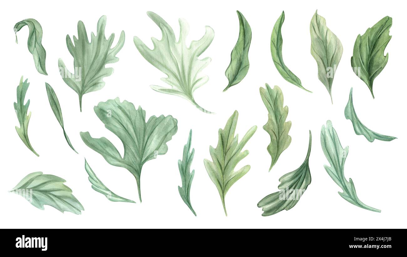Leaves leaves of various shapes. Abstract and realistic greenery ...