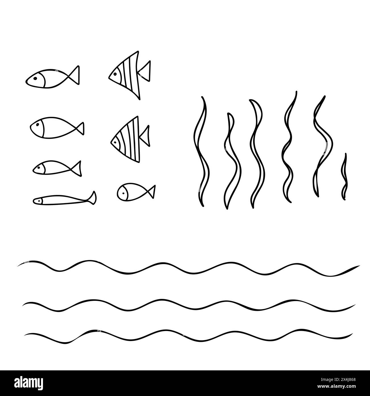 Set of underwater elements. Different fishes, seaweeds, laminaria algae ...