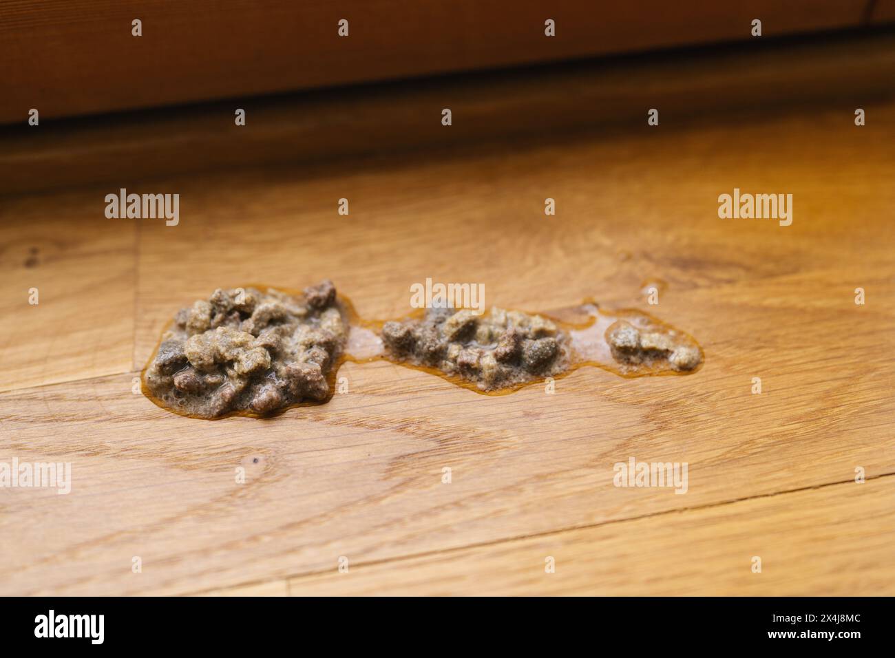 Vomit stain removal hi-res stock photography and images - Alamy