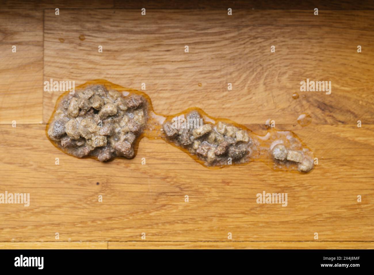 Vomit stain removal hi-res stock photography and images - Alamy