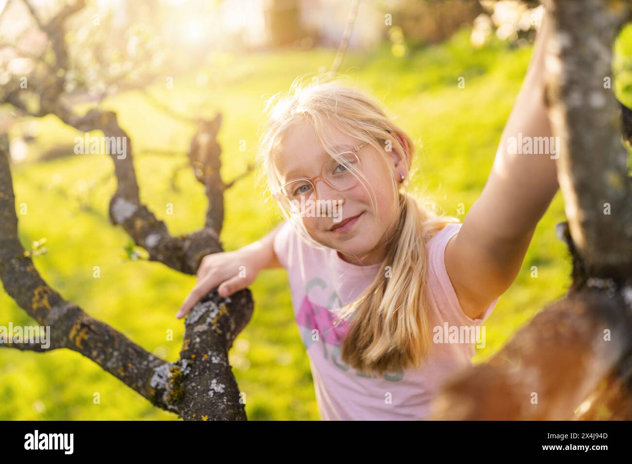 Playful girl climbing in an apple tree with spring blossoms Stock Photo ...