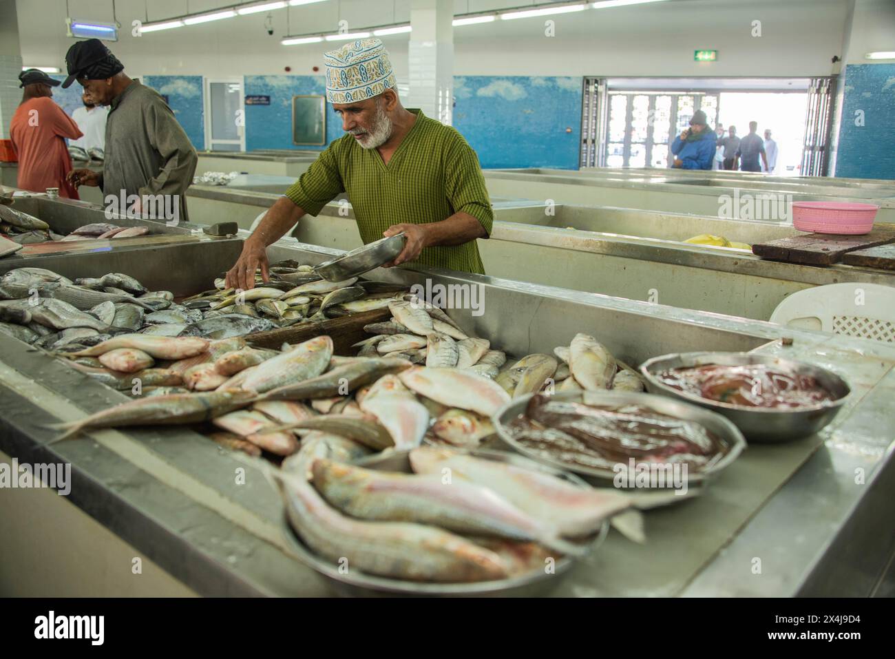 Scenes from the Fish Market, Mutrah Souq, Muscat, Oman Stock Photo - Alamy
