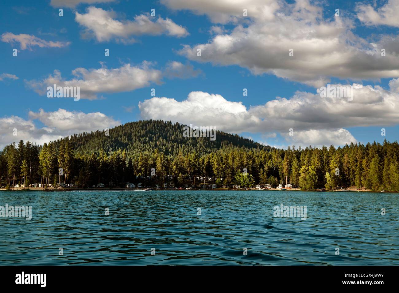 Western washington state woods hi-res stock photography and images - Alamy