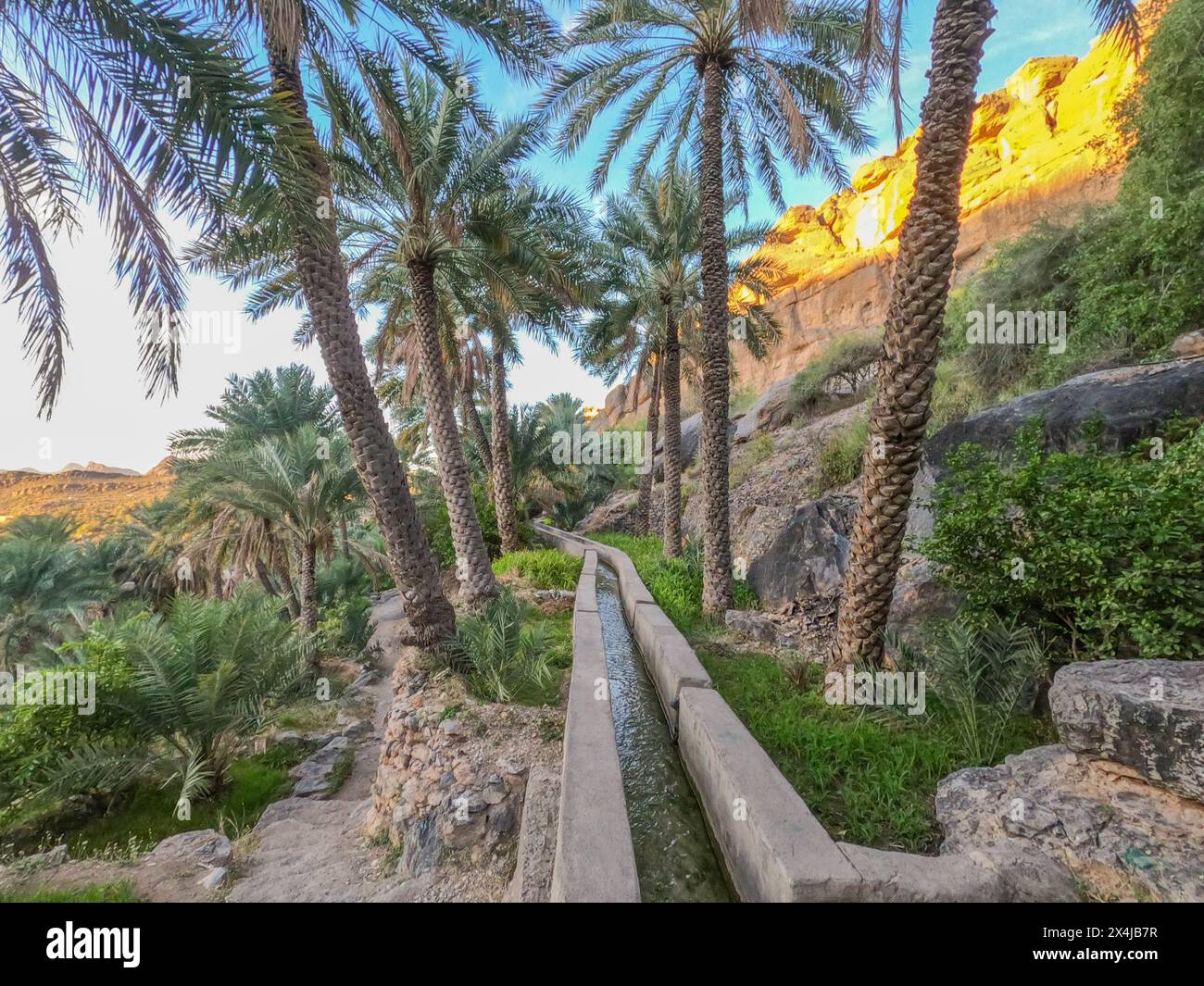 Trekking through the falaj (aflaj: the ancient Omani irrigation ...