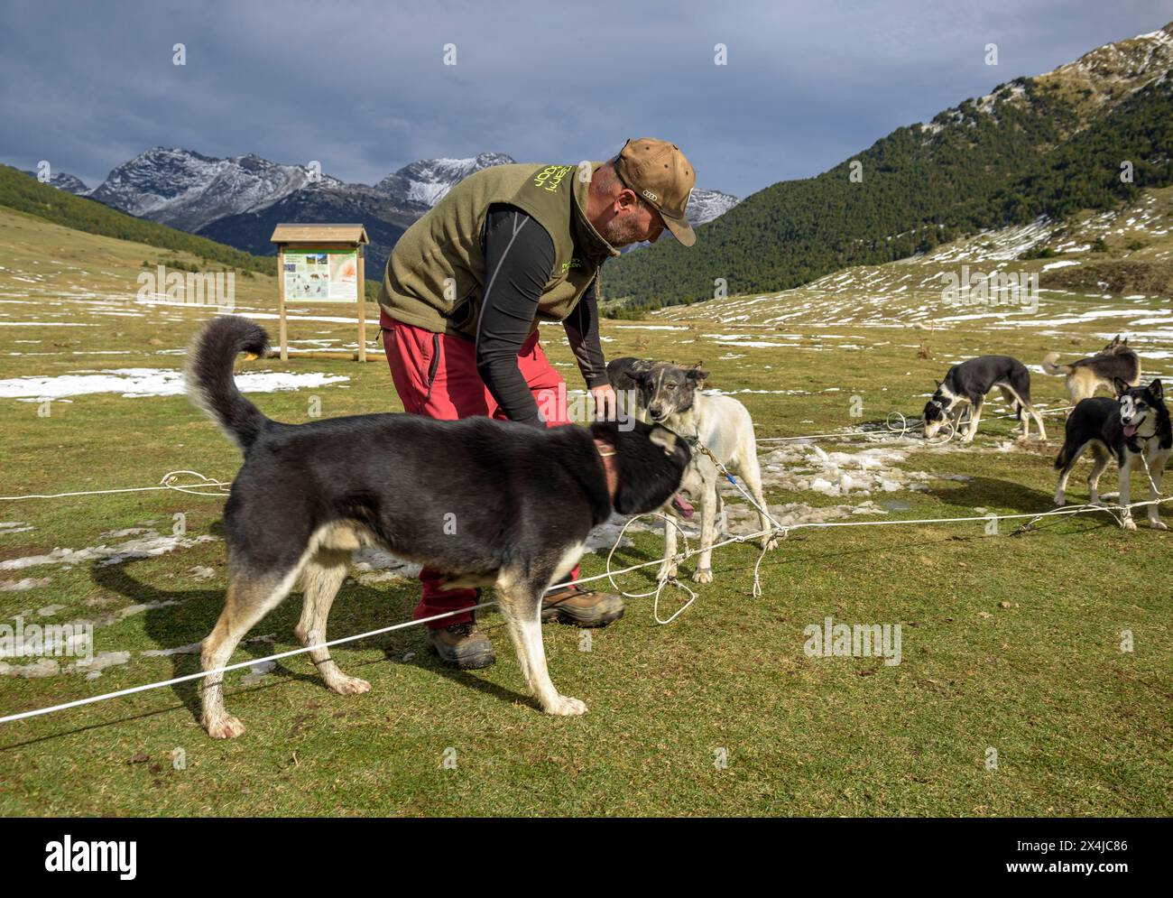 The Montgarri Outdoor team with dogs in the Plan de Beret preparing the ...