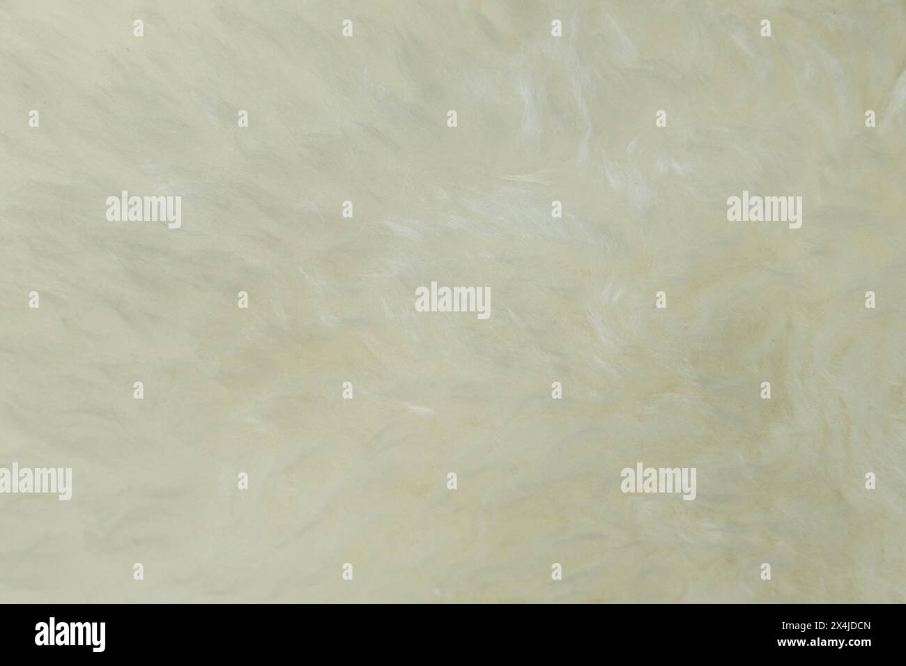 beige sheepskin texture with soft hairs, natural fur for the designer ...