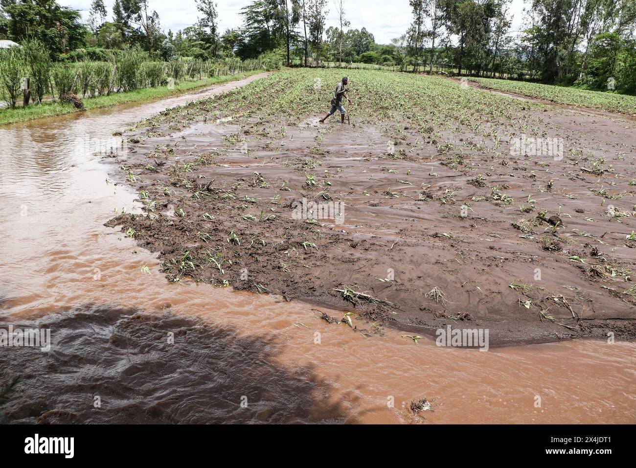 Flooding farm 2024 hi-res stock photography and images - Alamy