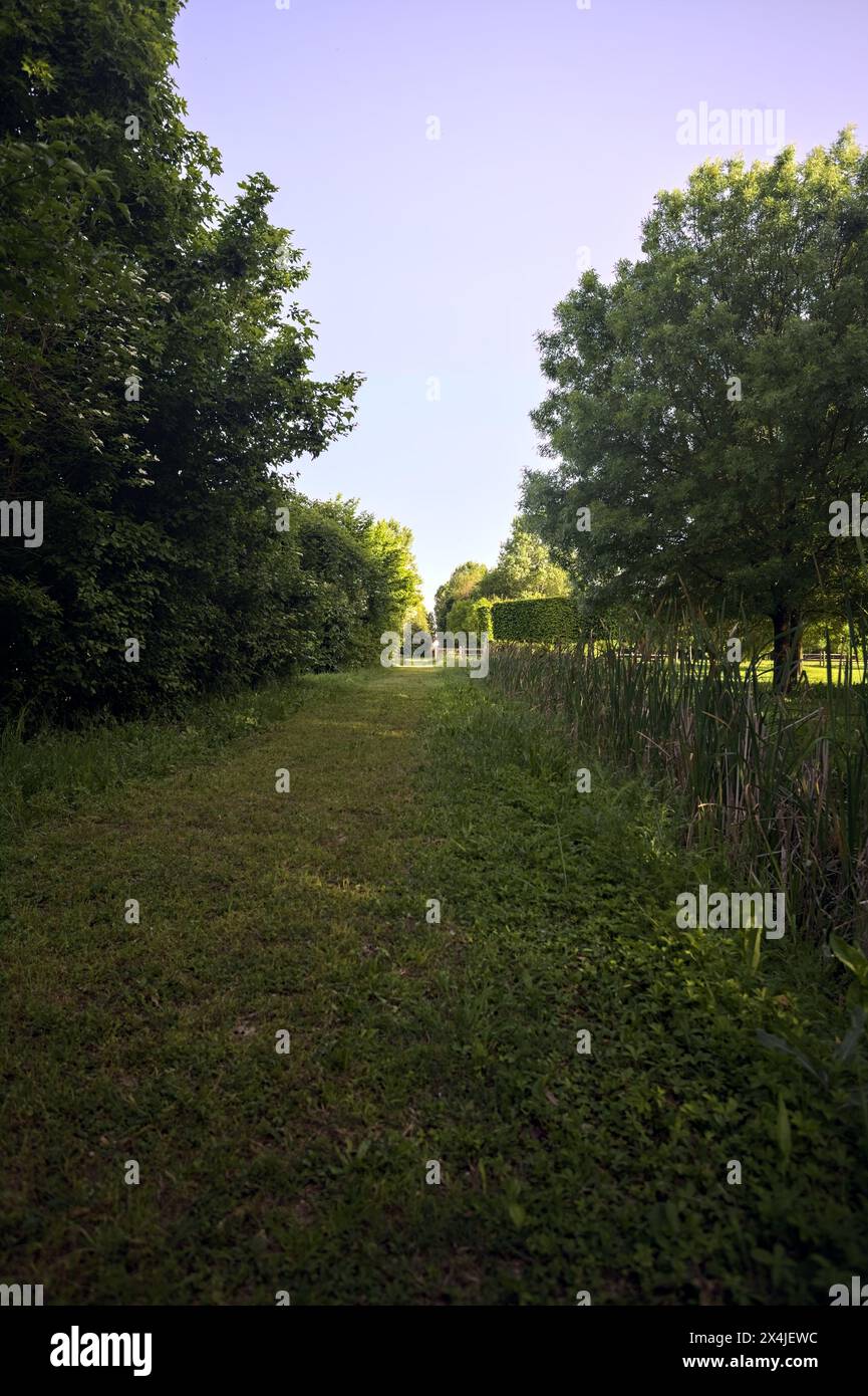 Grass path between trees hi-res stock photography and images - Alamy