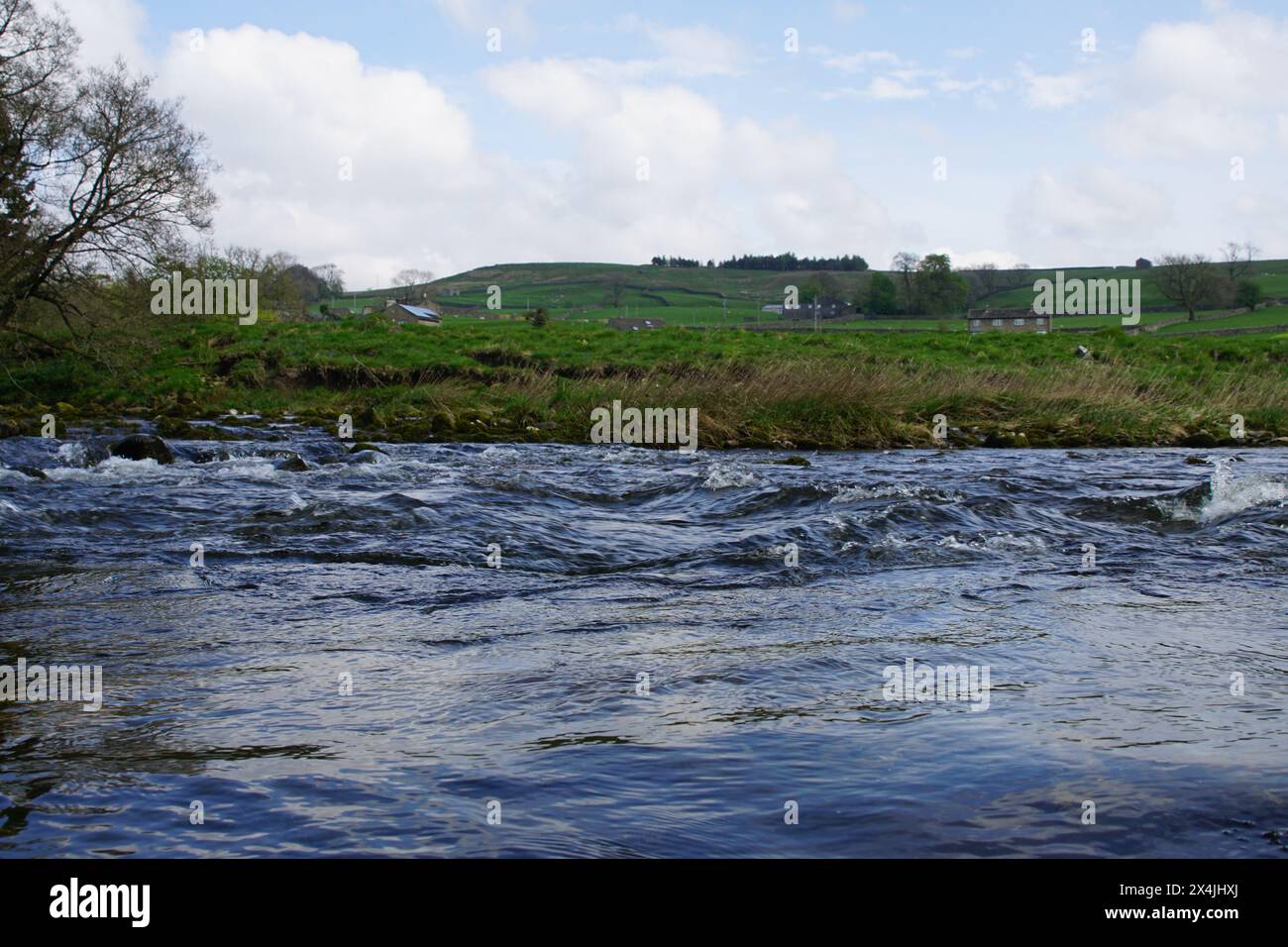 The River Wharfe at Hebden Hippings (below Hebden) in Wharfedale, North ...