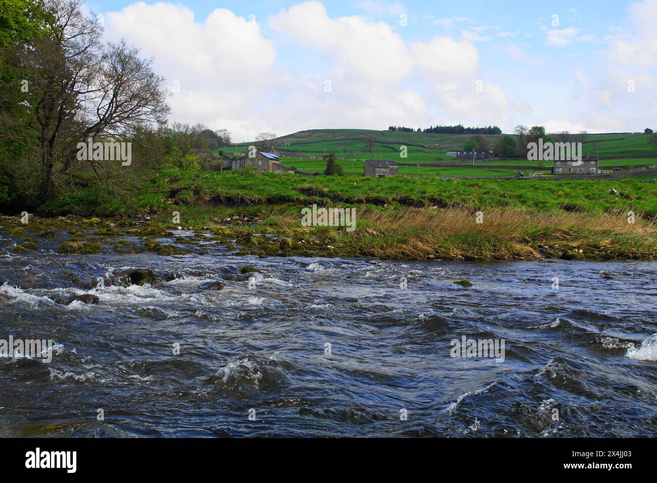 The River Wharfe at Hebden Hippings (below Hebden) in Wharfedale, North ...