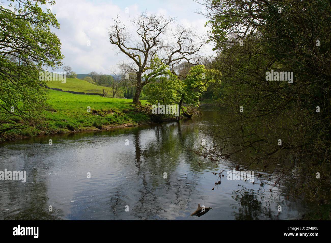 The River Wharfe at Hebden Hippings (below Hebden) in Wharfedale, North ...