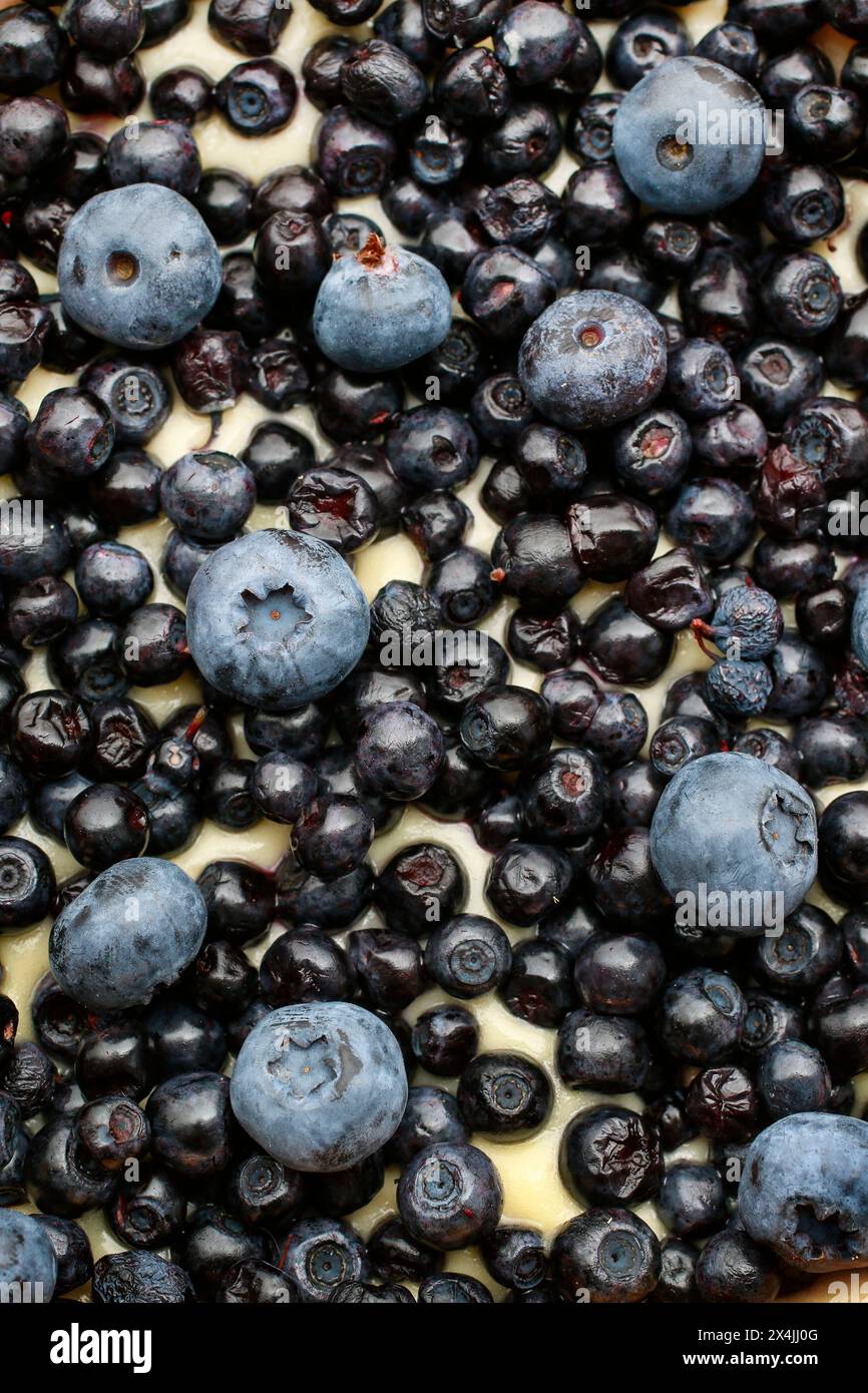 Blueberry fruits background, graphic resources Stock Photo - Alamy