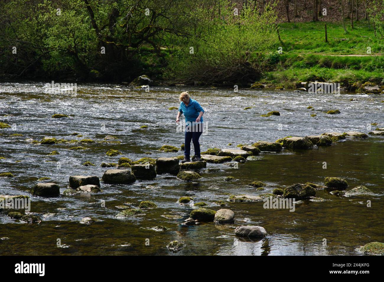 Stepping Stones across the River Wharfe at Hebden Hippings (below ...