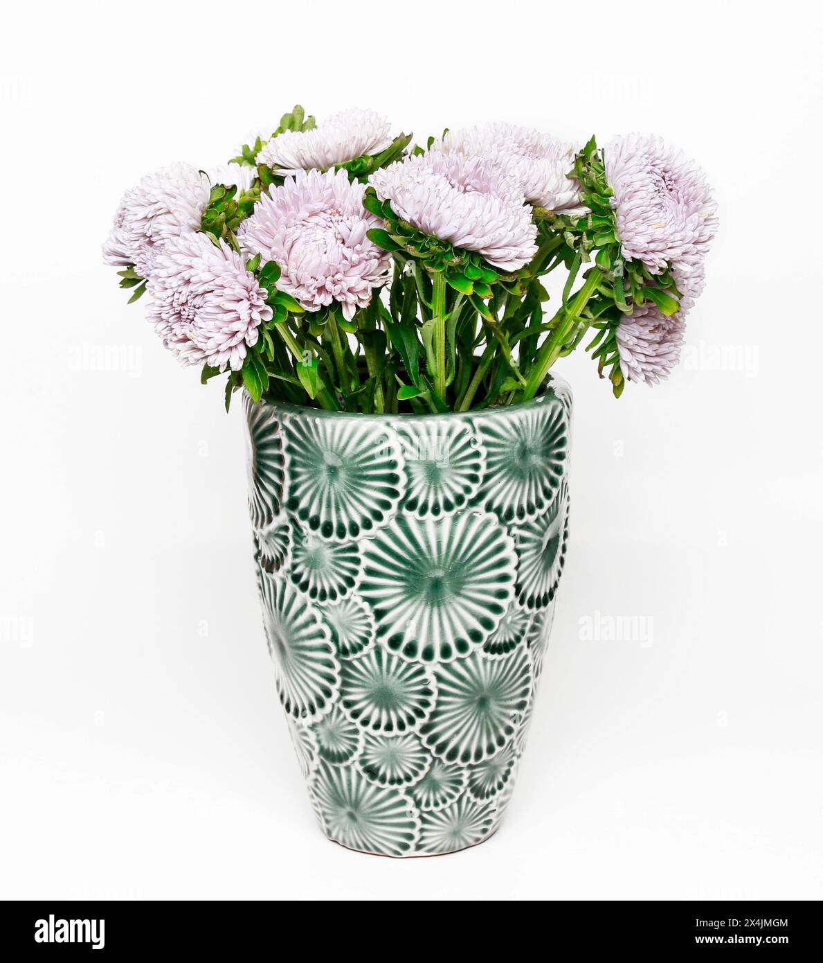 Violet astra flowers in ceramic vase isolated on white background Stock ...