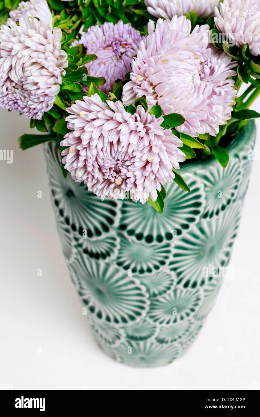 Violet astra flowers in ceramic vase isolated on white background Stock ...