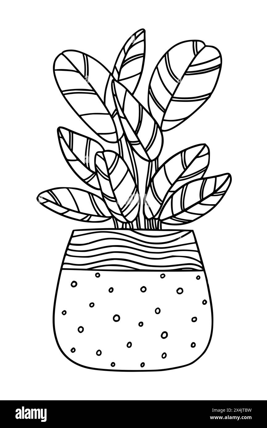 Potted ficus tree houseplant doodle line illustration. Plant indoor ...