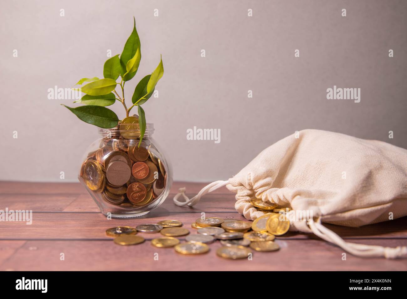 A businessman holding a coin with a tree that grows and a tree that ...
