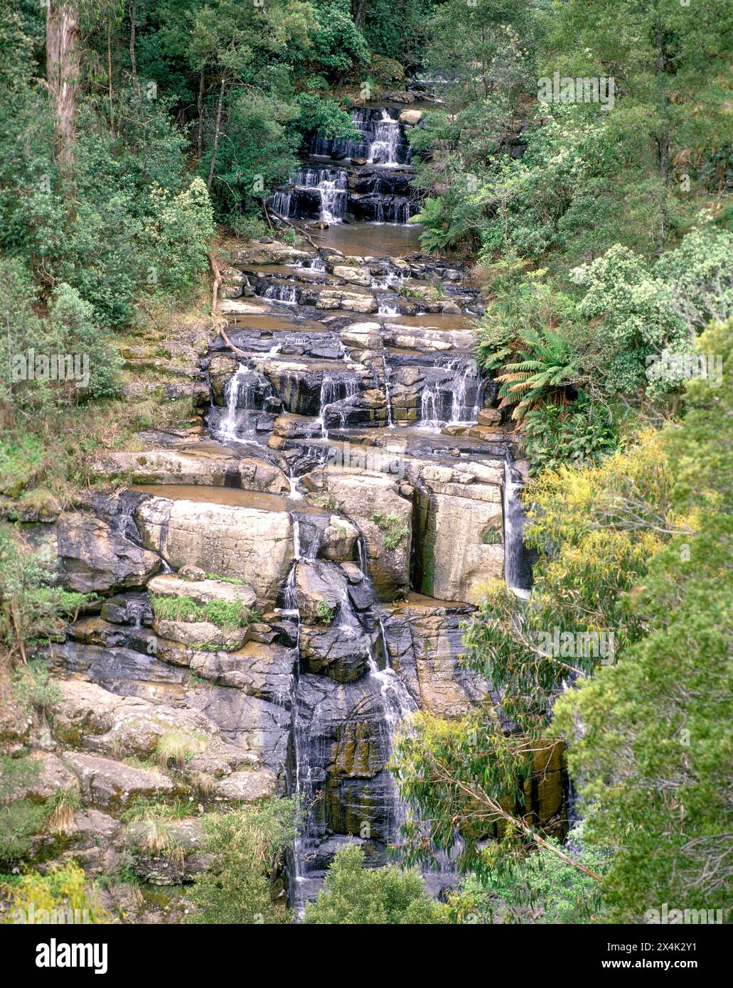 Kinglake victoria australia hi-res stock photography and images - Alamy