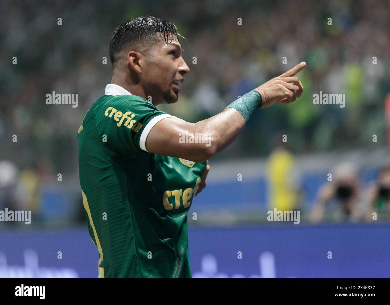 Palmeiras botafogo sp 2024 hi-res stock photography and images - Alamy