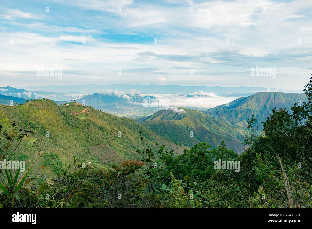 landscape of the mountains of Colombia with crops at sunrise on a sunny ...