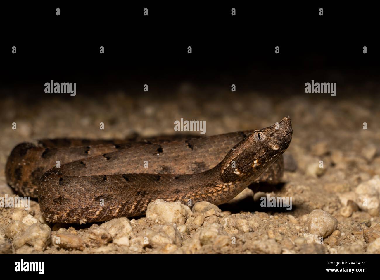 Yucatan night photography hi-res stock photography and images - Alamy