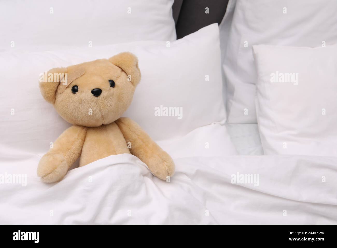 Toy teddy bear sticking hi-res stock photography and images - Alamy