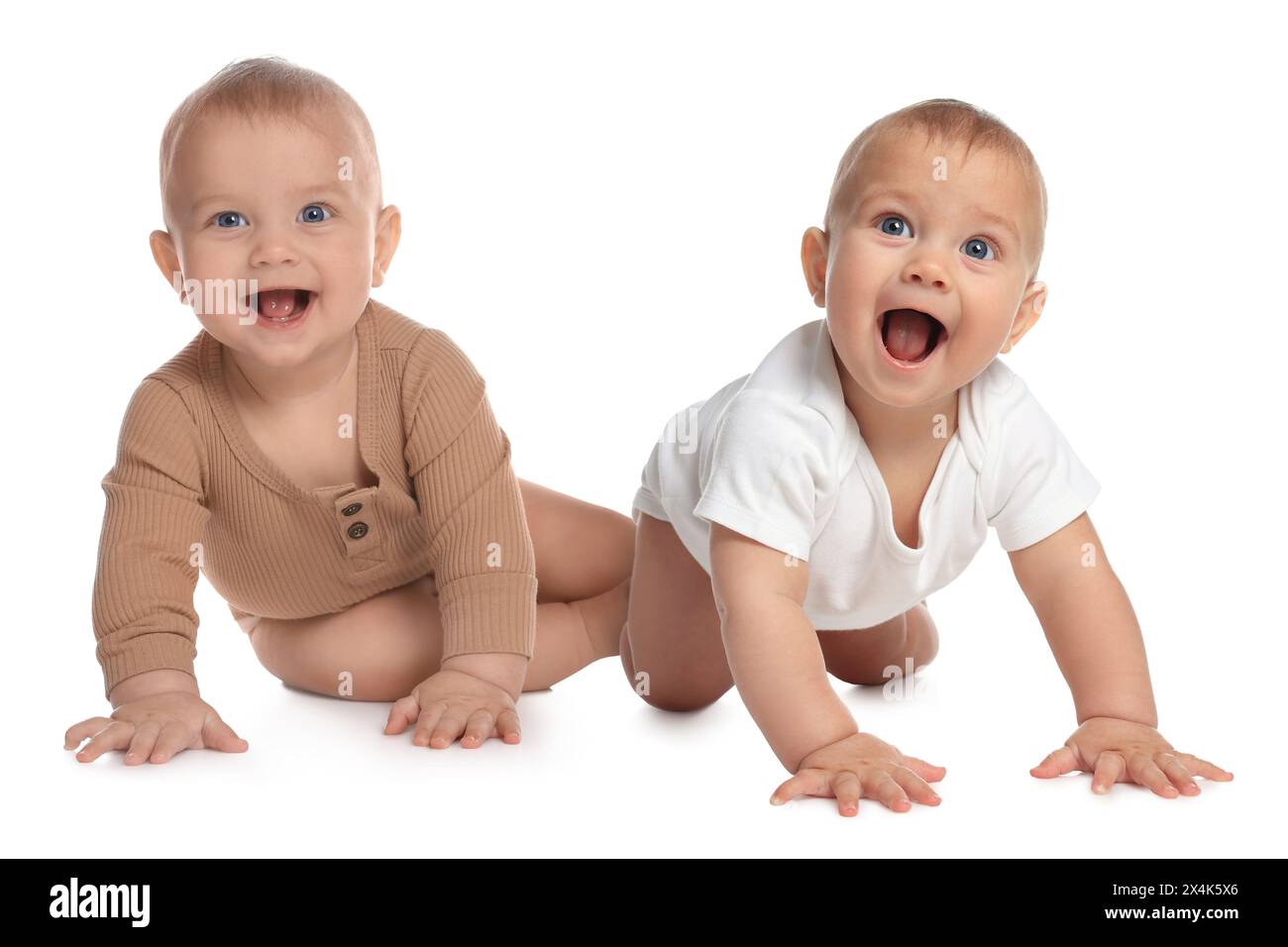 Portrait of cute twin babies on white background Stock Photo - Alamy