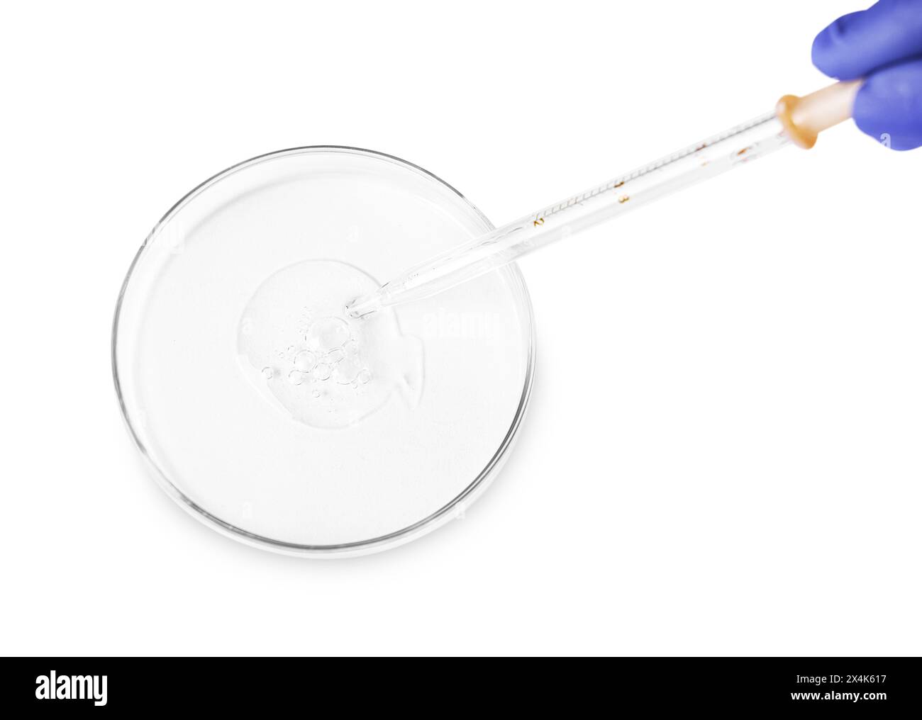 Scientist dripping liquid from pipette into petri dish on white ...
