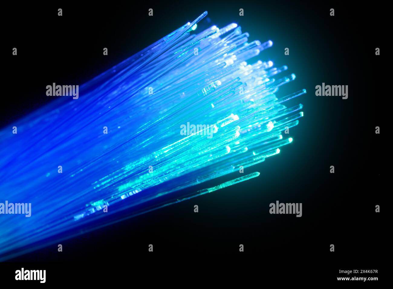 Optical fiber strands transmitting green and blue light on black ...