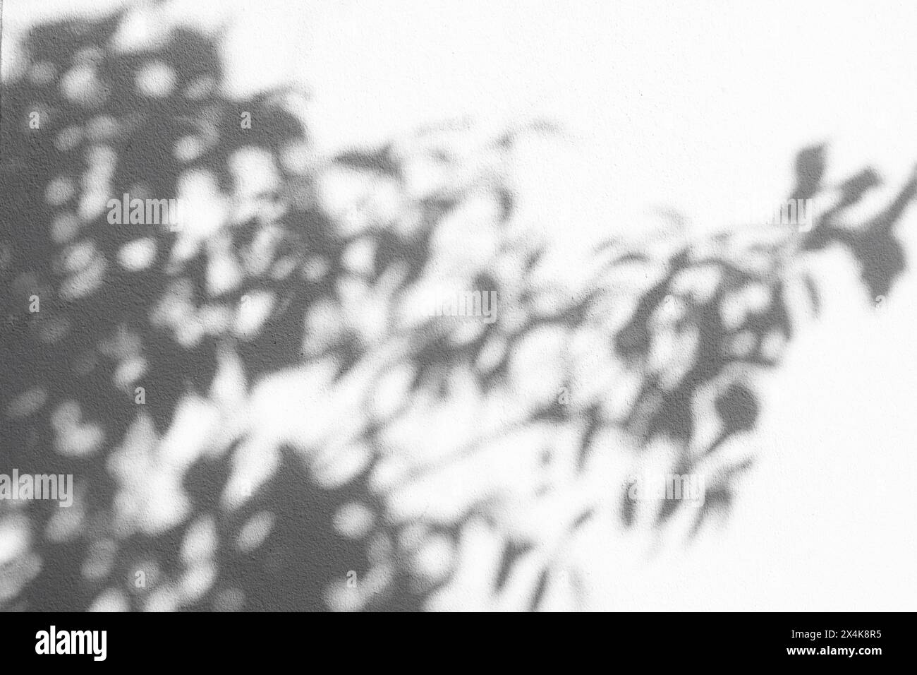 Natural shadow overlay on white colored grunge wall concrete texture ...