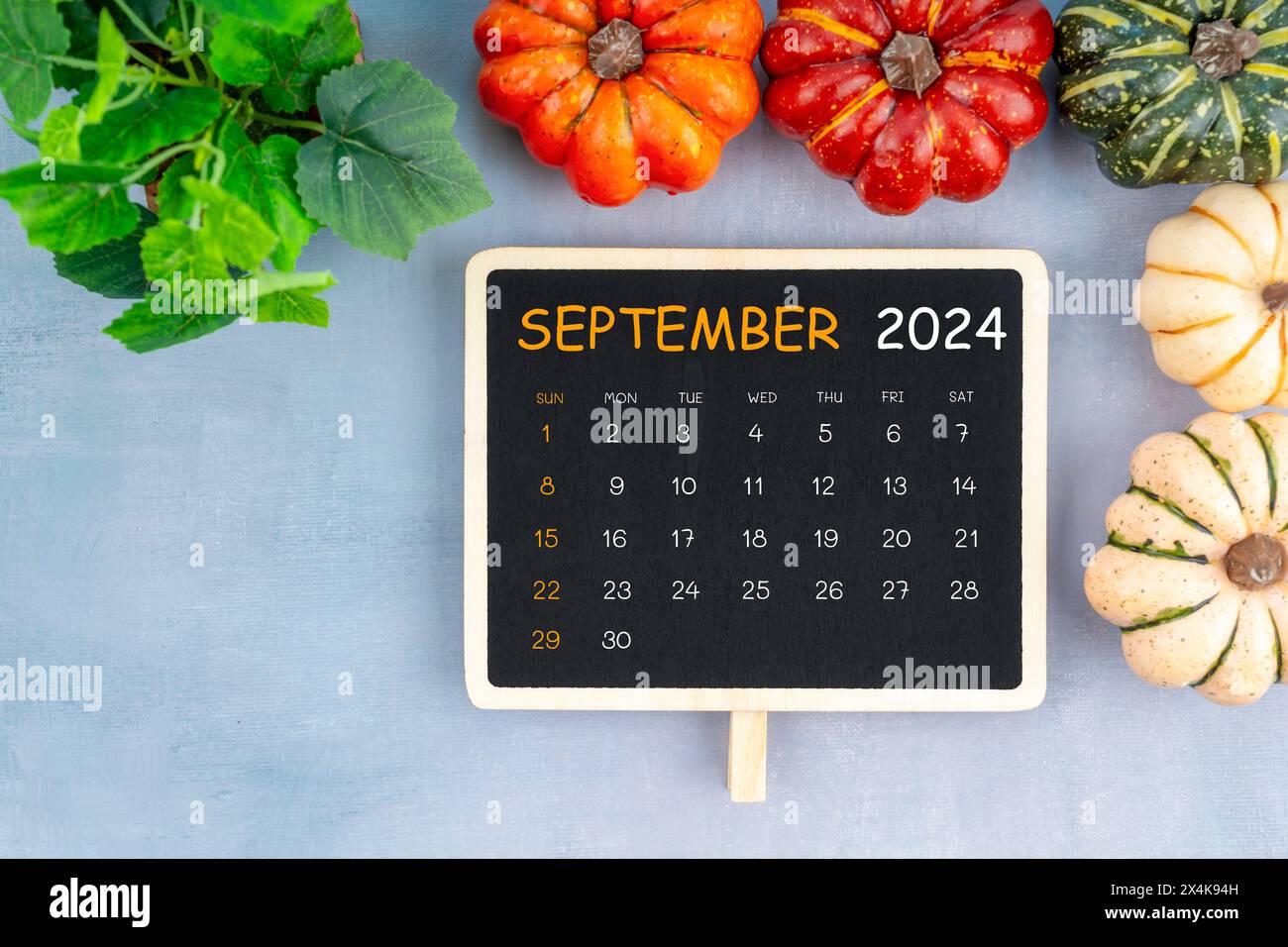 View from above to simple September 2024 calendar decorated with ...