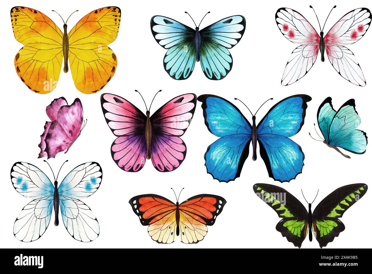 Colorful butterflies, butterfly set, watercolor, insect, isolated on ...