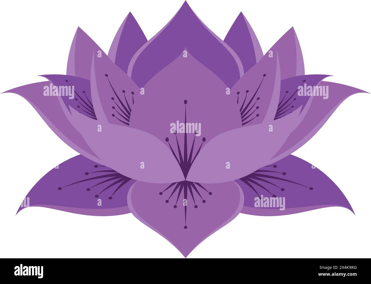 lotus flower design Stock Vector Image & Art - Alamy